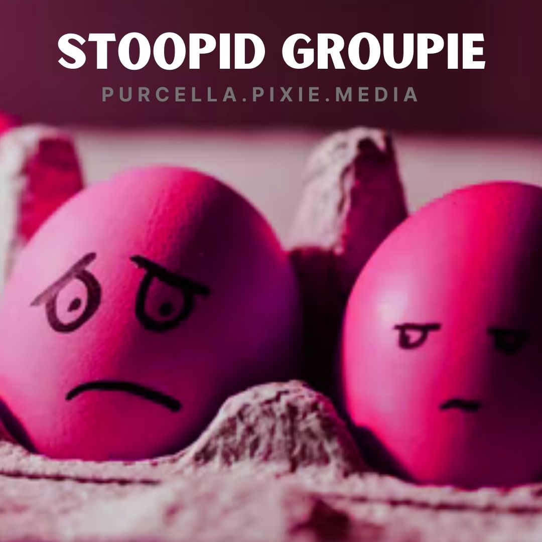 Stoopied Groupie - Purcella